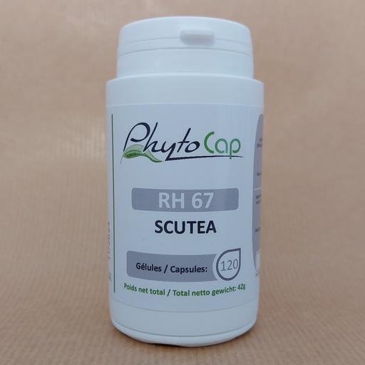 Scutea Rh67 Gel 120 - Phytocap | Medibib